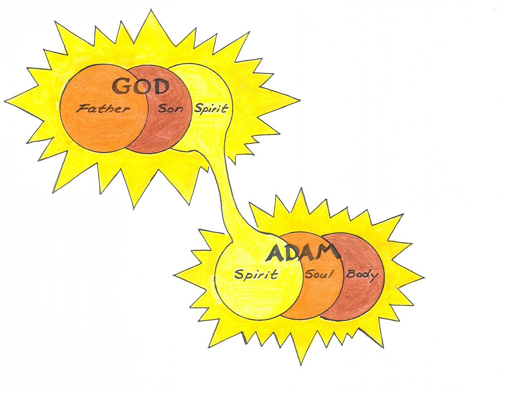 Adam Before and After the Fall - Perfecting of the Saints