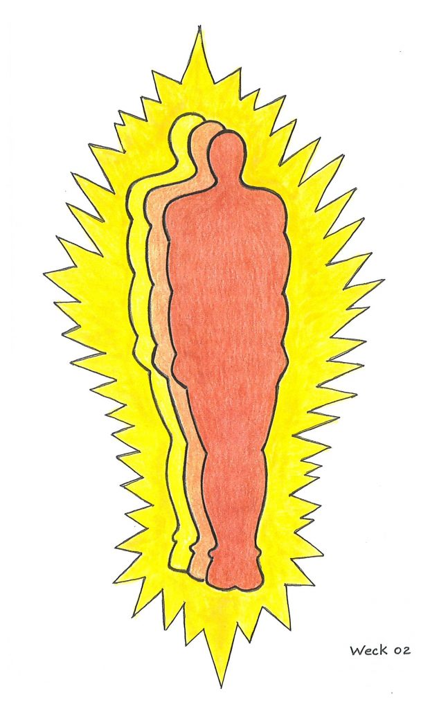 Adam Before and After the Fall - Perfecting of the Saints