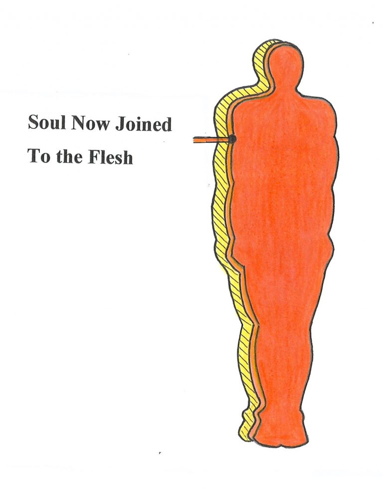 Adam Before and After the Fall - Perfecting of the Saints