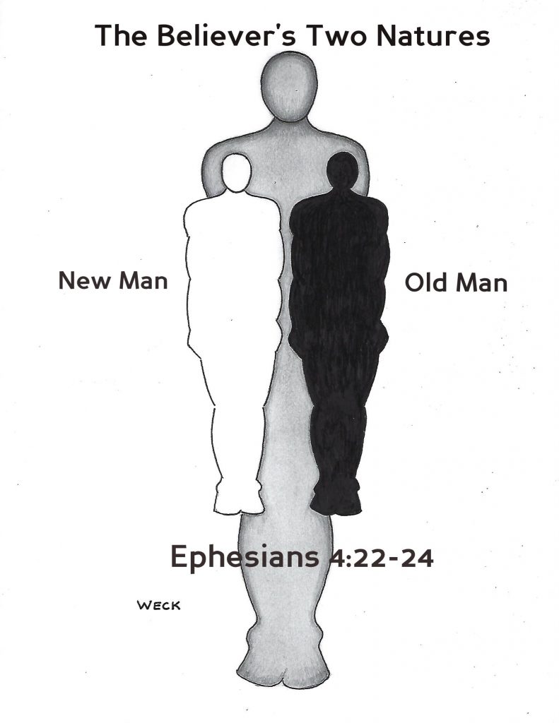 New Man vs. Old Man - Perfecting of the Saints